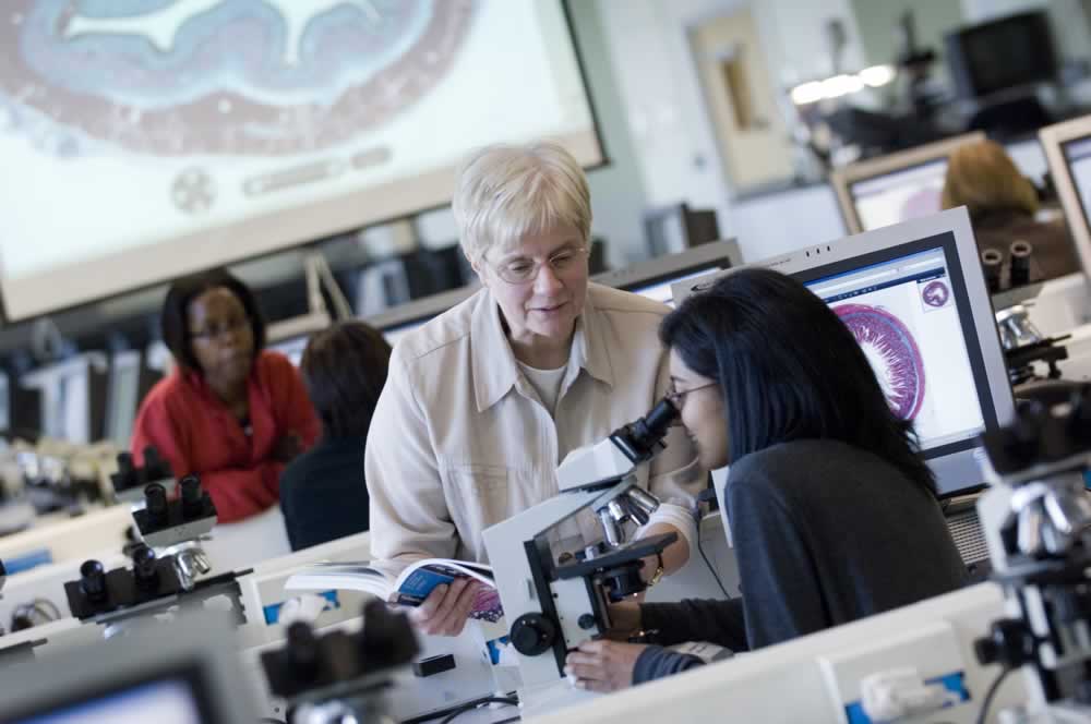 Launch of Bristol Medical School marks new era for medical education ...